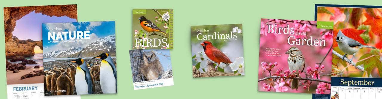 Page-A-Day Calendars & Gifts