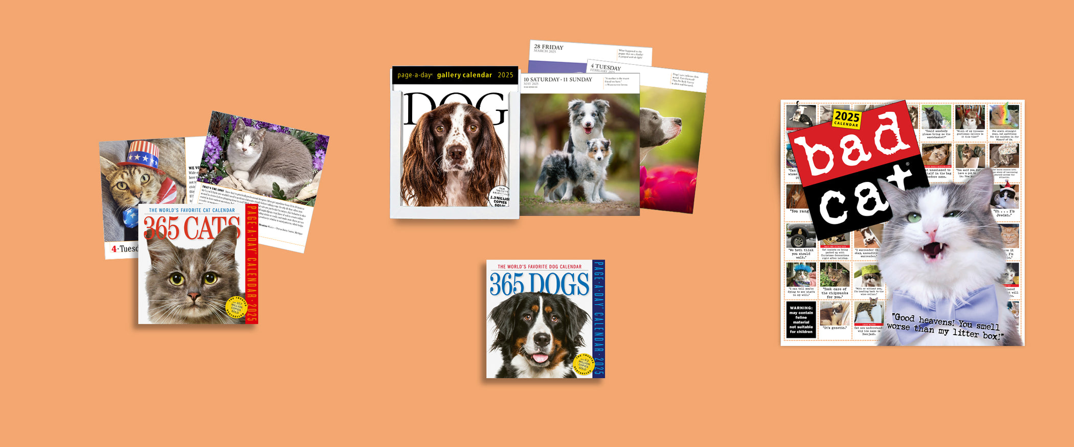 Page-A-Day Calendars & Gifts