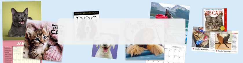 Page-A-Day Calendars & Gifts