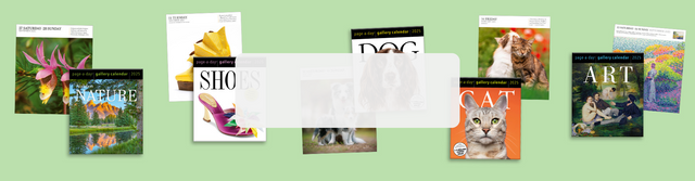 Page-A-Day Calendars & Gifts