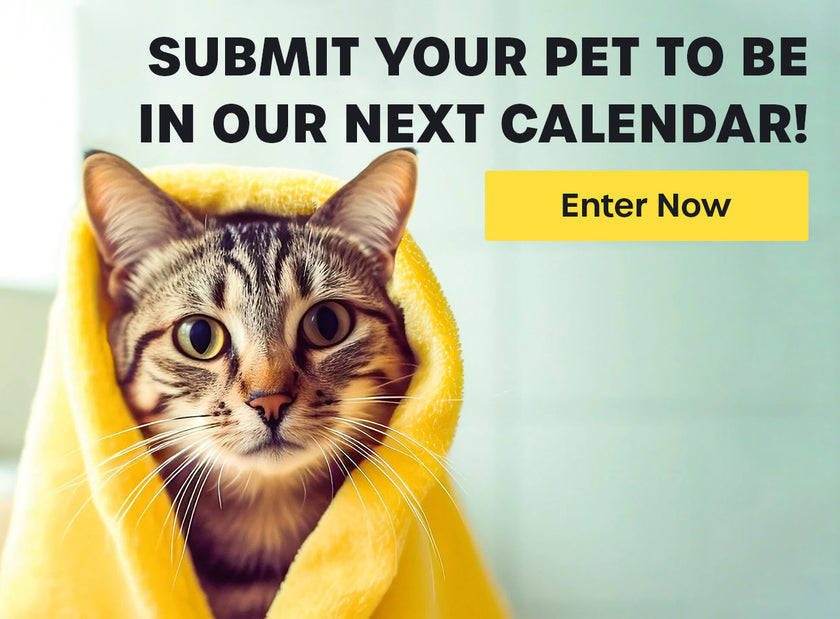 Page-A-Day Calendars & Gifts