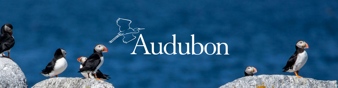 Audubon – Page-A-Day